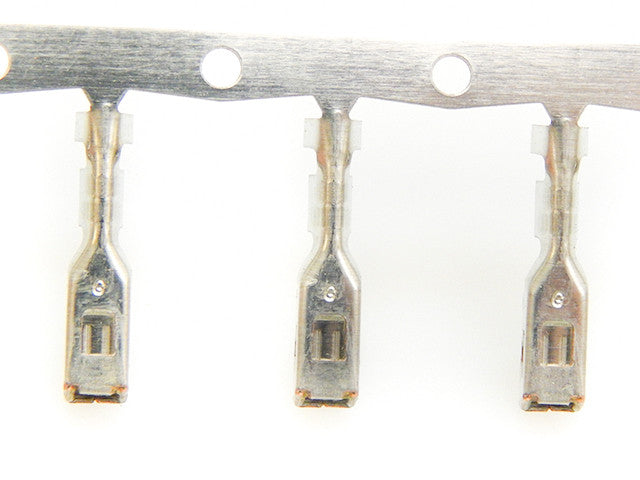 12059894 - Delphi - In Stock, Buy Now! – Nexus Electronics LLC